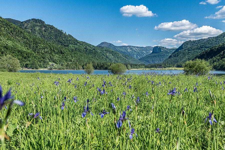 DAS Hintersee | 4* Hotel im Salzkammergut
